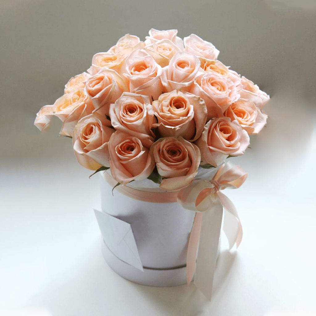 Peachy Dome – Lahore Basket